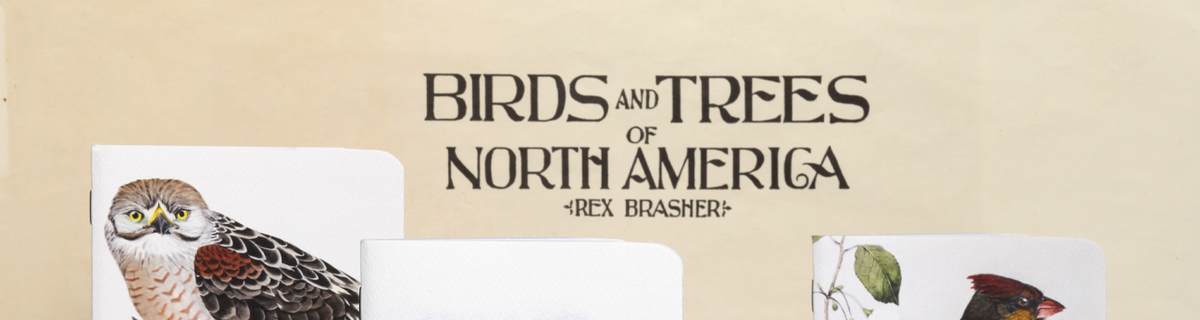 die Vögel sind zurück – MONOMOTTE