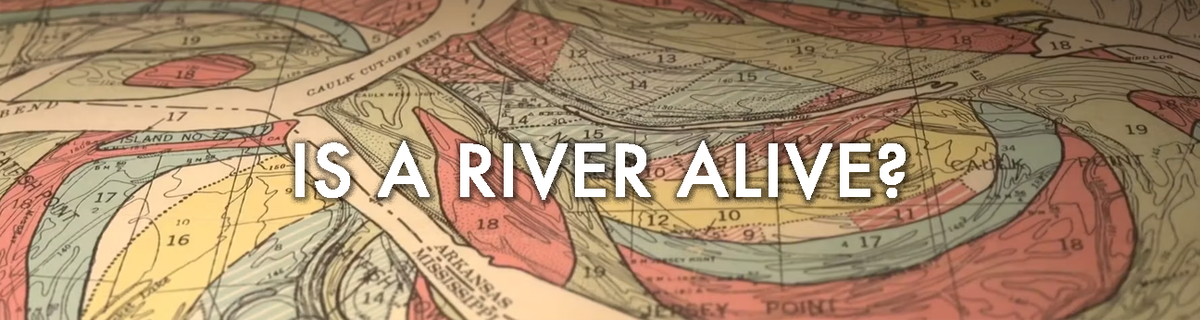 Ist ein Fluss lebendig? – MONOMOTTE